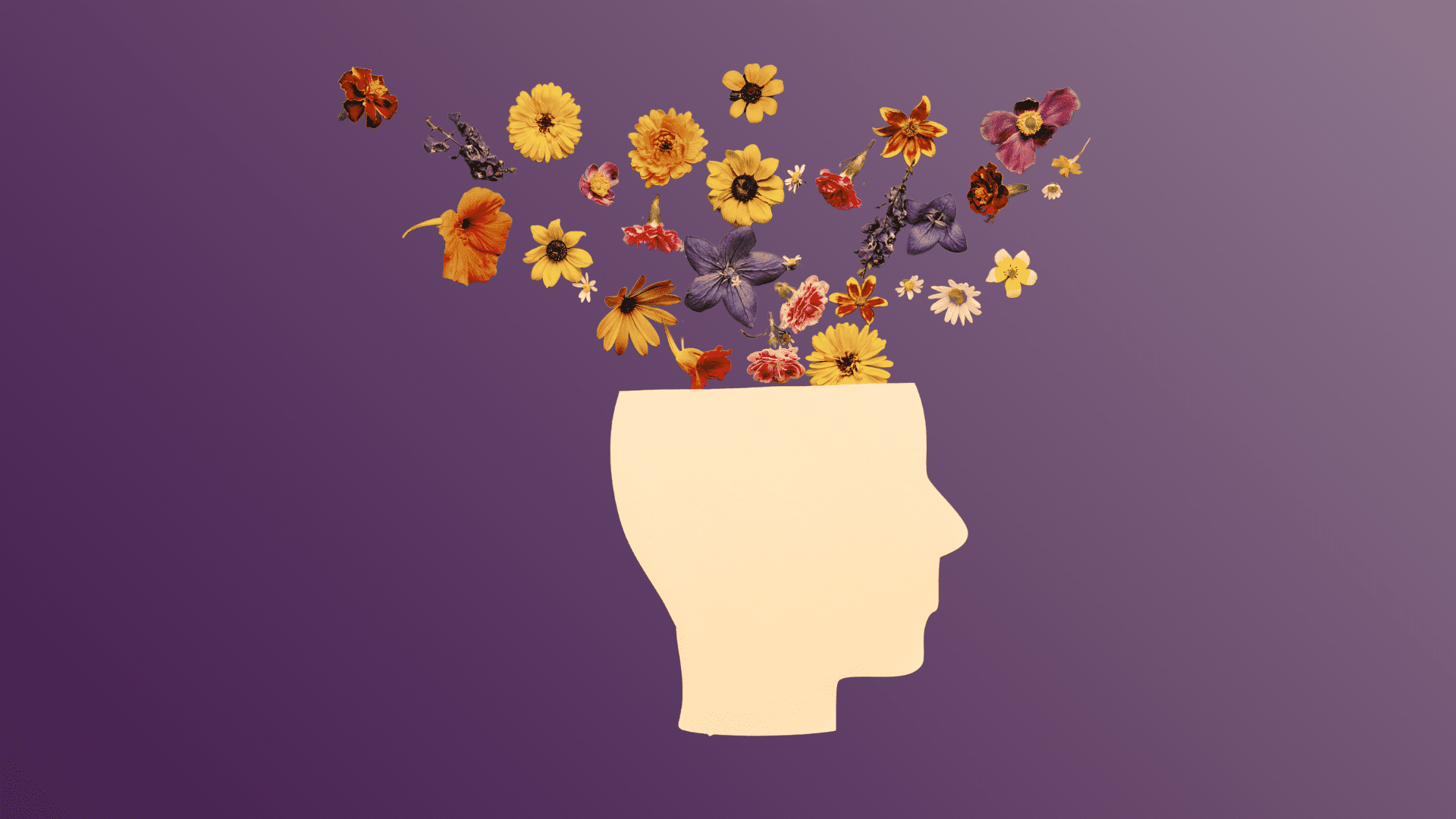 A Journey of Recovery - Treatment Advocacy Center